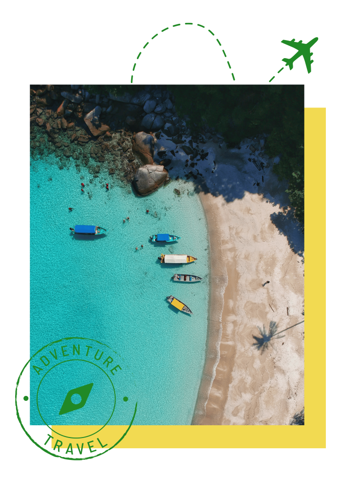 About - Travel Plus International